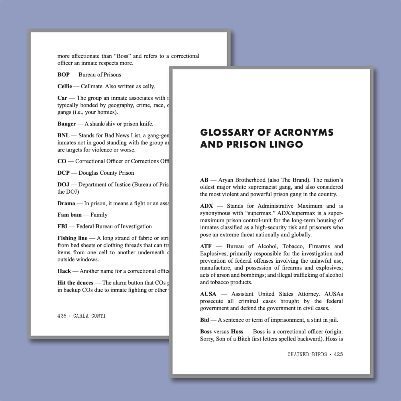 Chained Birds glossary of acronyms and prison lingo